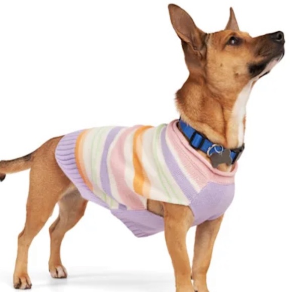 Youly | Dog | Nwt Youly Hipster Striped Dog Sweater L | Poshmark